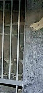 La mystérieuse Pooca du château de Lackeen… - Mysterium Incognita