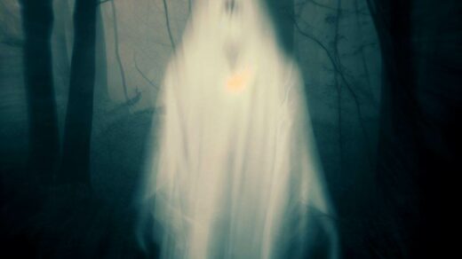 L’étrange fantôme filmé dans un jardin… - Mysterium Incognita